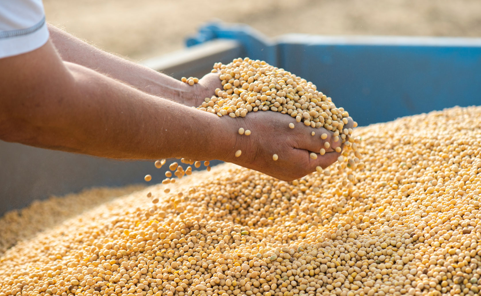 Top 10 Agricultural Commodity Prices in Nigeria